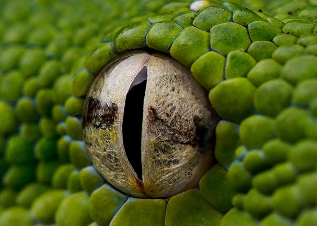 Perfect Aim | My Hero Academia RP Wiki | Fandom