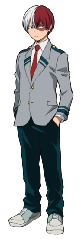 Shoto Todoroki | My Hero Academia Wiki | Fandom