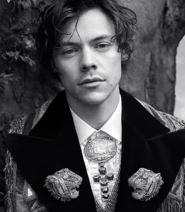 harry styles medieval