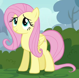 Fluttershy (D) | My Little Pony: Friendship Is Magic - Rakoon1's ...