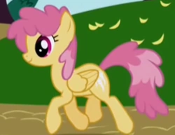 Dizzy Twister | Wiki My Little Pony La Amistad Es Magia | Fandom