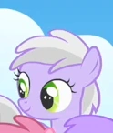 Sweet Pop | Wiki My Little Pony La Amistad Es Magia | Fandom