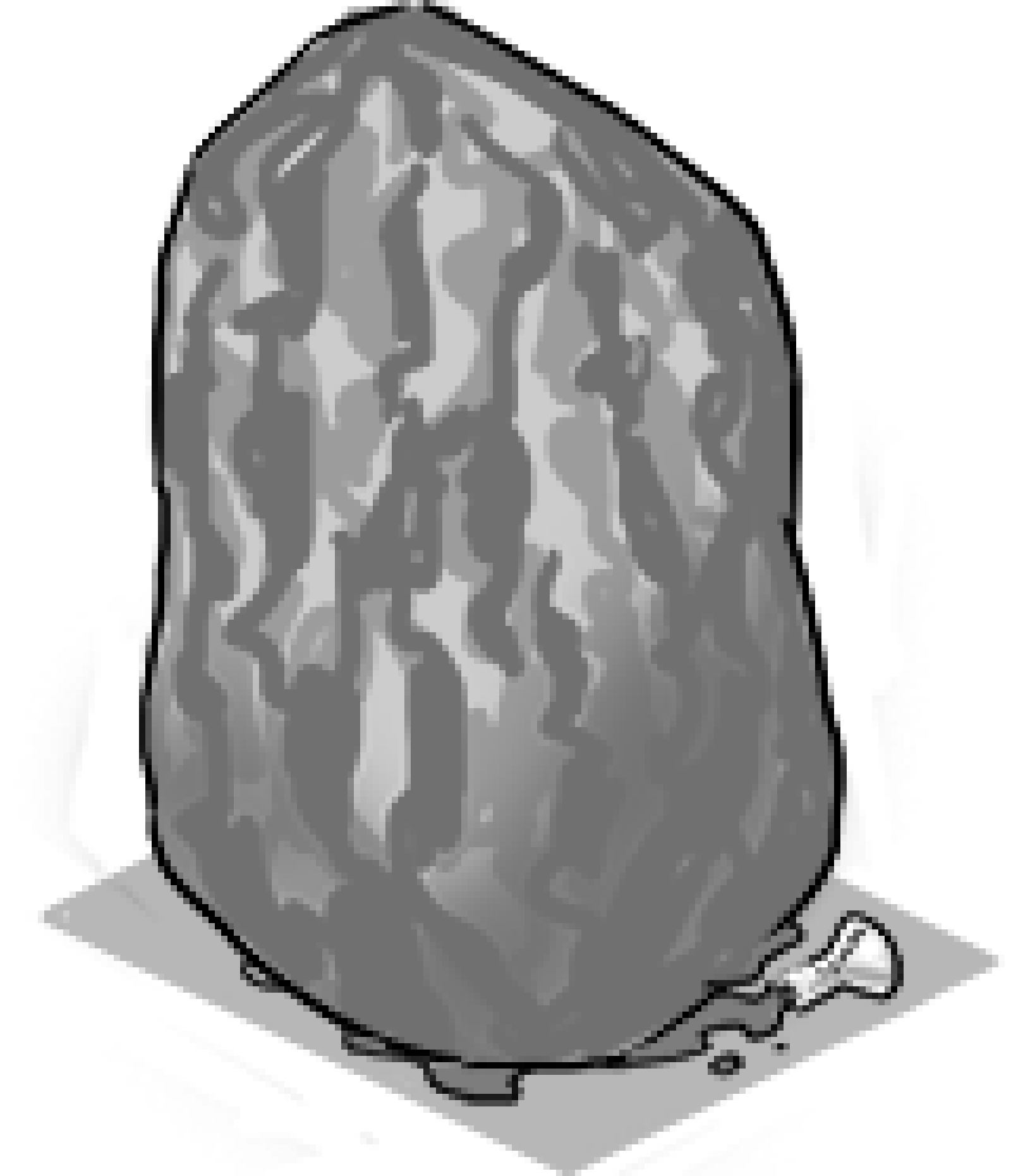 Giant Prune | My Muppets Show Wiki | Fandom