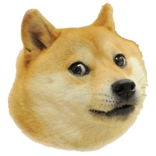 Doge | My own mlg Wikia | Fandom