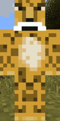 Leopard | My Personal Projects Wiki | Fandom