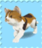 Tortoise-shell Cat | My Pet Shop DS Wiki | Fandom