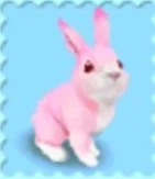 Rabbit | My Pet Shop DS Wiki | Fandom