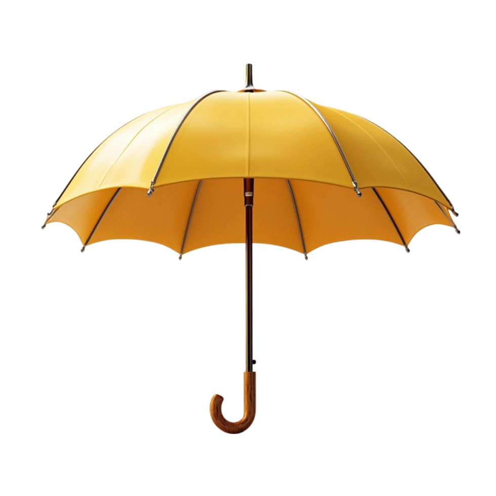 Rain Ready | My PlayHome Wiki | Fandom