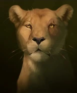 Nothing | My Pride Wiki | Fandom