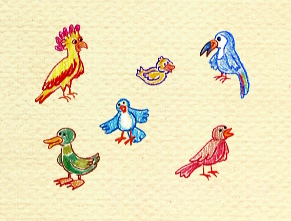 Elmo's World: Birds | My scratchpad Wiki | Fandom