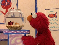 Elmo's World: Games (episode) | My scratchpad Wiki | Fandom