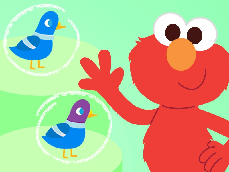 Elmo's Brain Games/Gallery | My scratchpad Wiki | Fandom