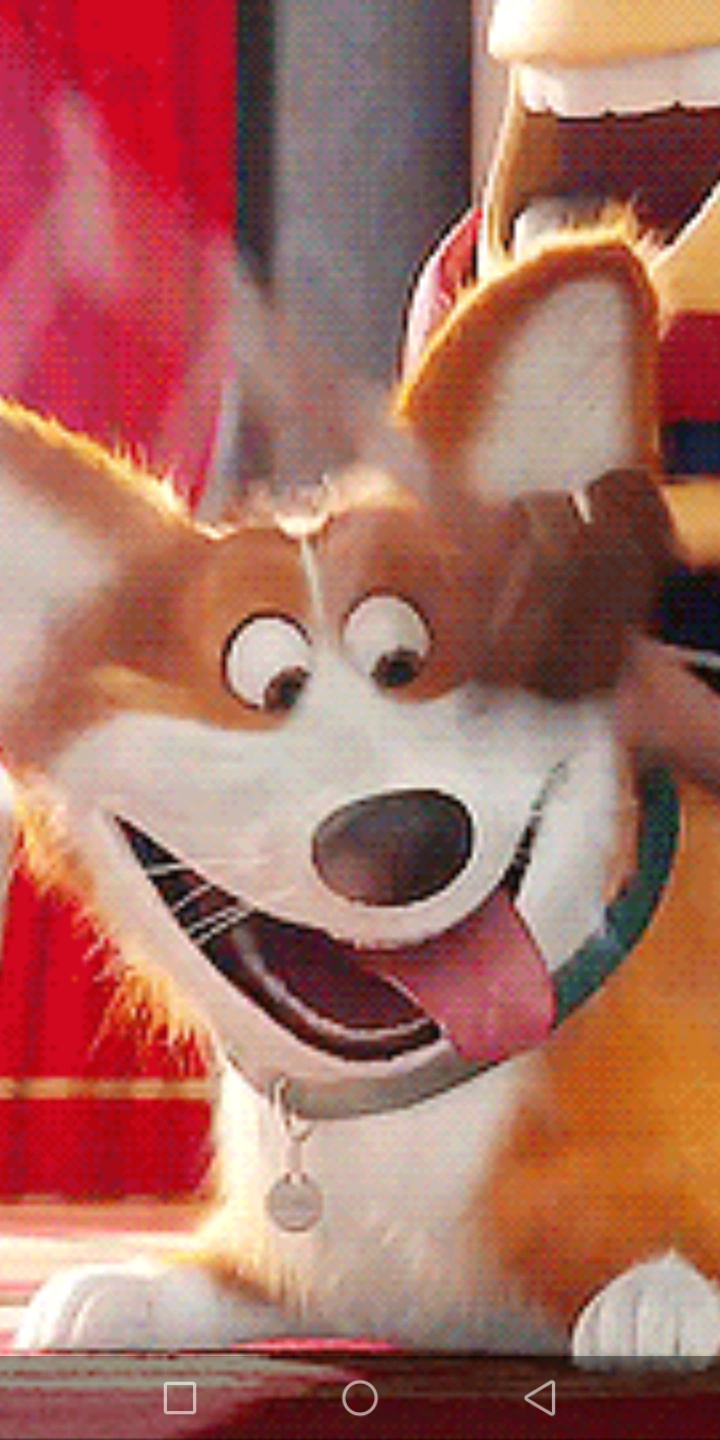 Corgi (Minions) | My scratchpad Wiki | Fandom