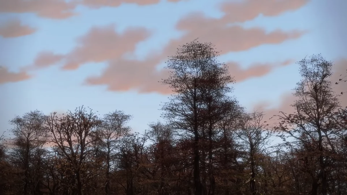 Confused Coaches/Gallery | My scratchpad Wiki | Fandom