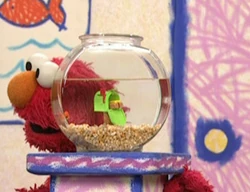 Elmo's World: Mail | My scratchpad Wiki | Fandom