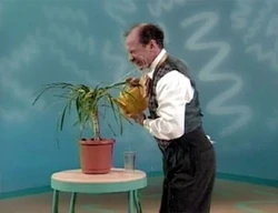 Elmo's World: Flowers, Plants & Trees | My scratchpad Wiki | Fandom