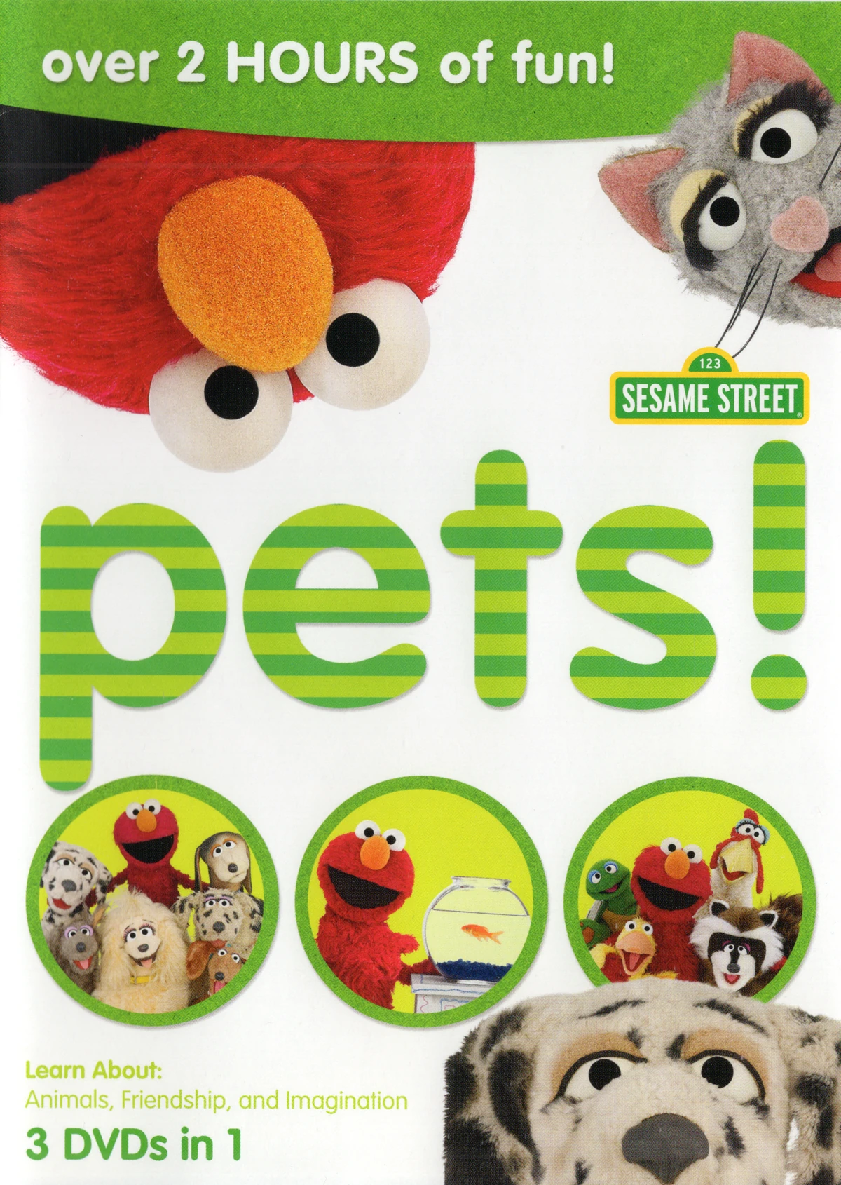 Sesame Street Pets! 2015 DVD | My scratchpad Wiki | Fandom