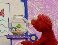 Elmo's World: Fish | My scratchpad Wiki | Fandom