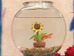 Elmo's World: Flowers, Plants & Trees | My scratchpad Wiki | Fandom