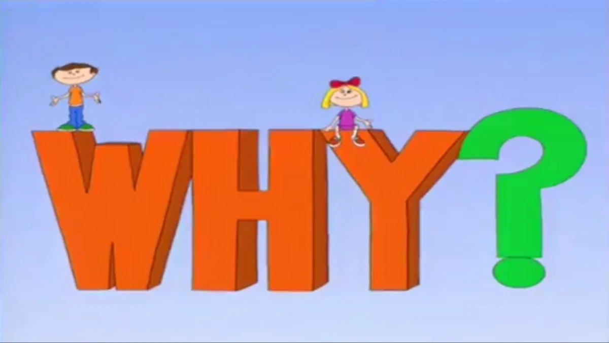 WHY? | My scratchpad Wiki | Fandom
