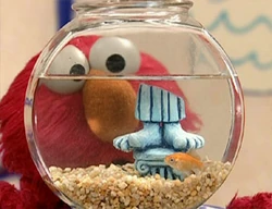 Elmo's World: Feet | My scratchpad Wiki | Fandom