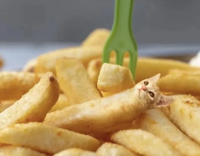 Breeding Table | My Singing Monsters: Fanmad Wiki | Fandom