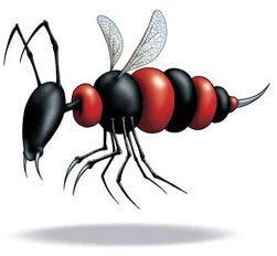 Flanimals Island | My Singing Monsters Ideas Wiki | Fandom