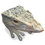 CRAZY GRAVY CRAZY GUY | My Singing Monsters Ideas Wiki | Fandom