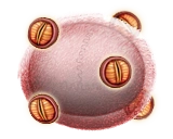 Epic Ghazt (MEM) | My Singing Monsters Ideas Wiki | Fandom