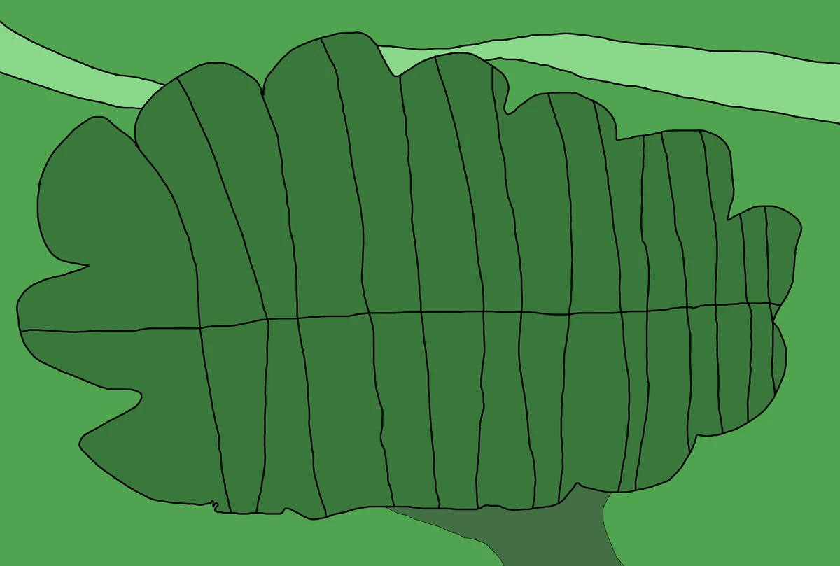 Plant Islet (Lolo26) | My Singing Monsters Ideas Wiki | Fandom