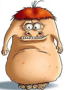 Flanimals Island | My Singing Monsters Ideas Wiki | Fandom