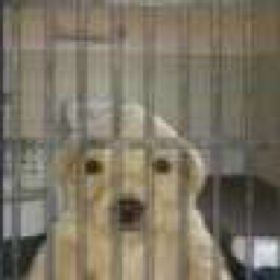 Marto (Marto Expansion) | My Singing Monsters Ideas Wiki | Fandom