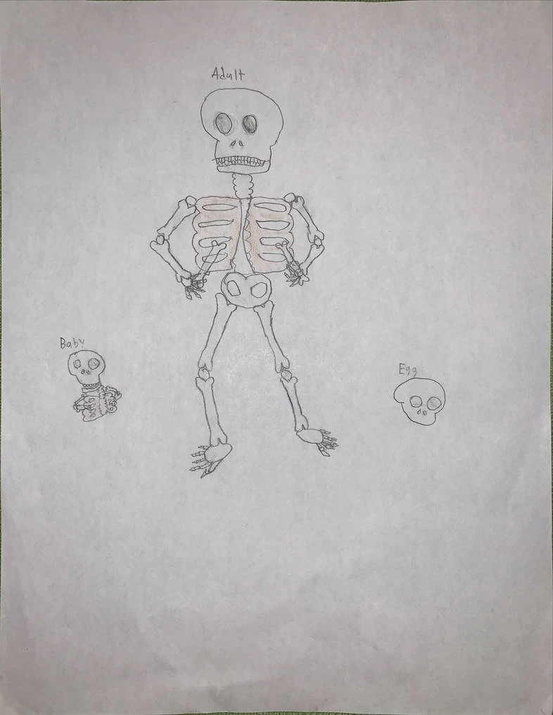 Xylobone | My Singing Monsters Ideas Wiki | Fandom