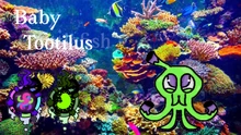 Aquathereal Seascape | My Singing Monsters Ideas Wiki | Fandom