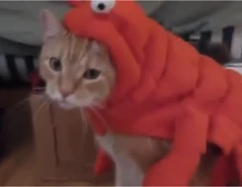 MSM: Dawn of GONZO | My Singing Monsters Ideas Wiki | Fandom