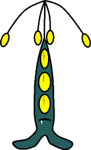 The Rayuriens | My Singing Monsters Ideas Wiki | Fandom