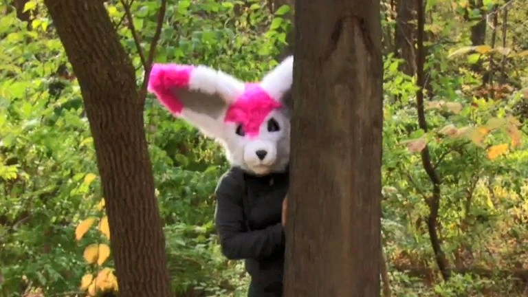 Eats Couch Cushion / Furry | My Strange Addiction Wiki | Fandom