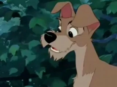 Tramp | My Top 30 disney characters Wiki | Fandom