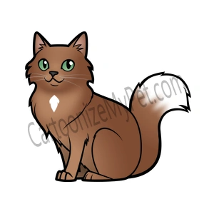 Rowan | My Warrior Cat OC Wiki | Fandom
