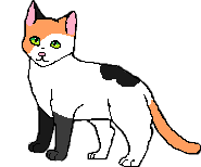 Bumblepaw | My warrior cats fanclans Wiki | Fandom