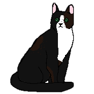 Leafstar | My warrior cats fanclans Wiki | Fandom