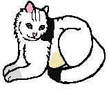 Beenose | My warrior cats fanclans Wiki | Fandom