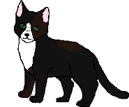 Leafstar | My warrior cats fanclans Wiki | Fandom
