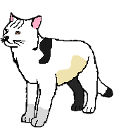 Beenose | My warrior cats fanclans Wiki | Fandom
