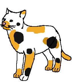 Maplesong | My warrior cats fanclans Wiki | Fandom