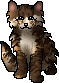 Featherkit(LC) | My Warriors Wki Wiki | Fandom