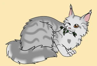 Featherwhisker | My WarriorsCats Wiki | Fandom