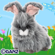 Angora Bunny | My webkinz Wiki | Fandom