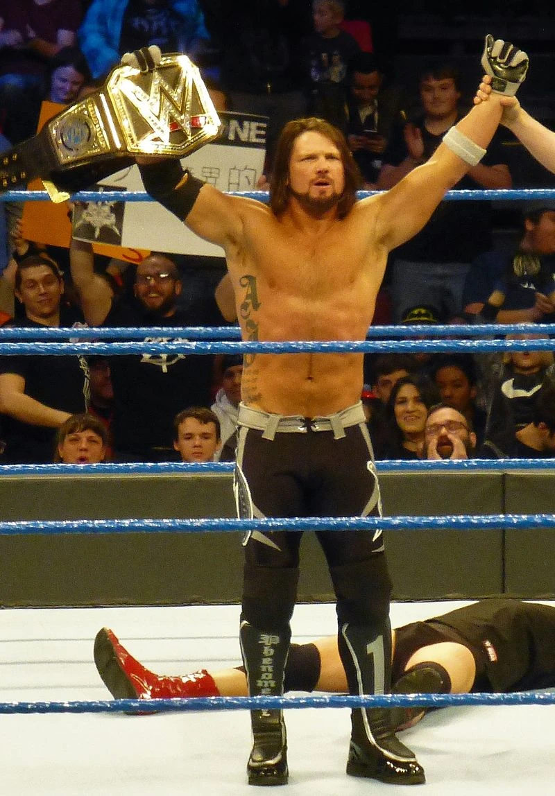 List of WWE Champions | My WWE 2K Universe Wiki | Fandom