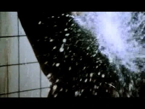 Queen:Body Language | The Real American Top 40 Wiki | Fandom